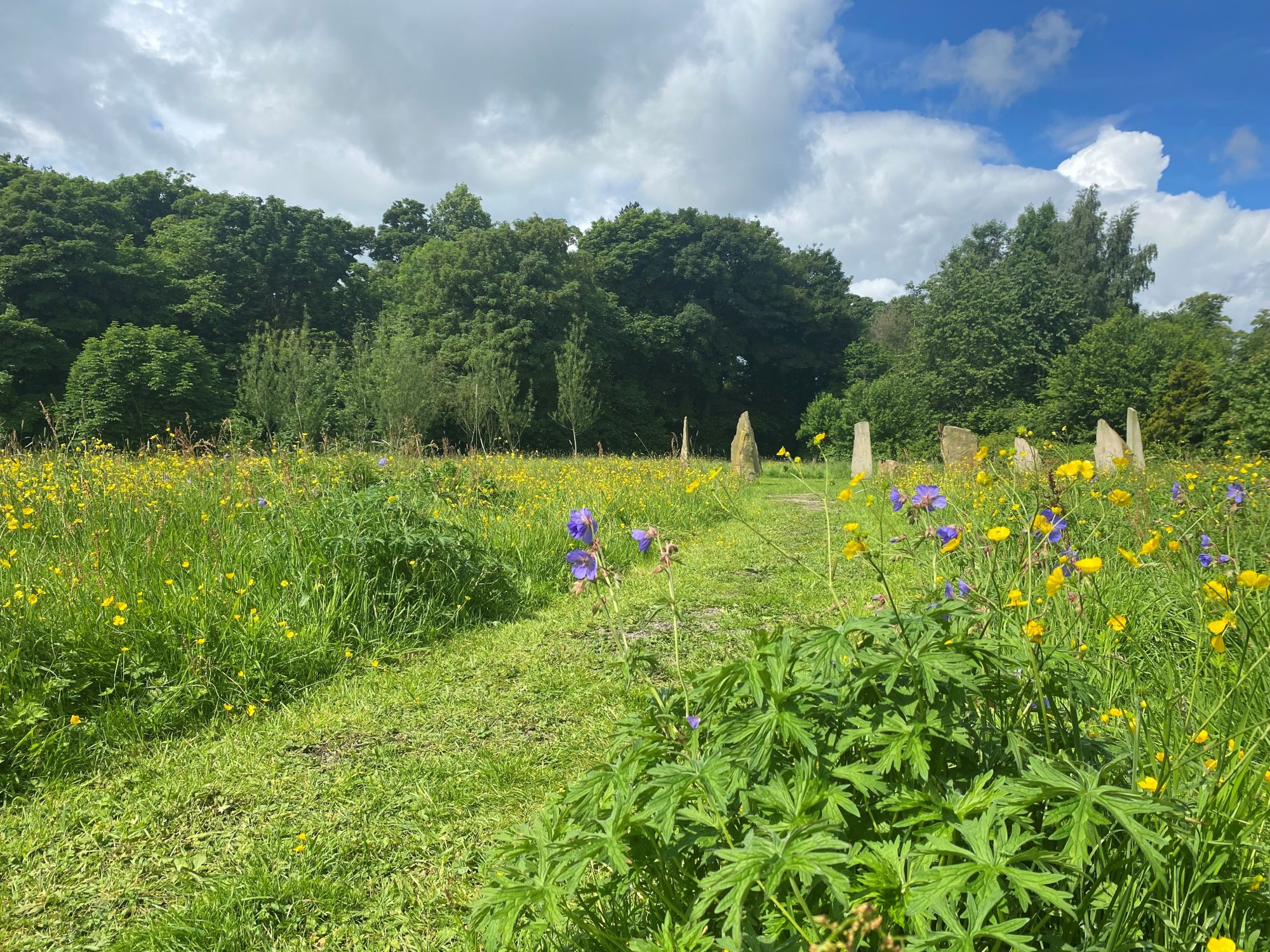 Croft Field Memorial Forest Croston