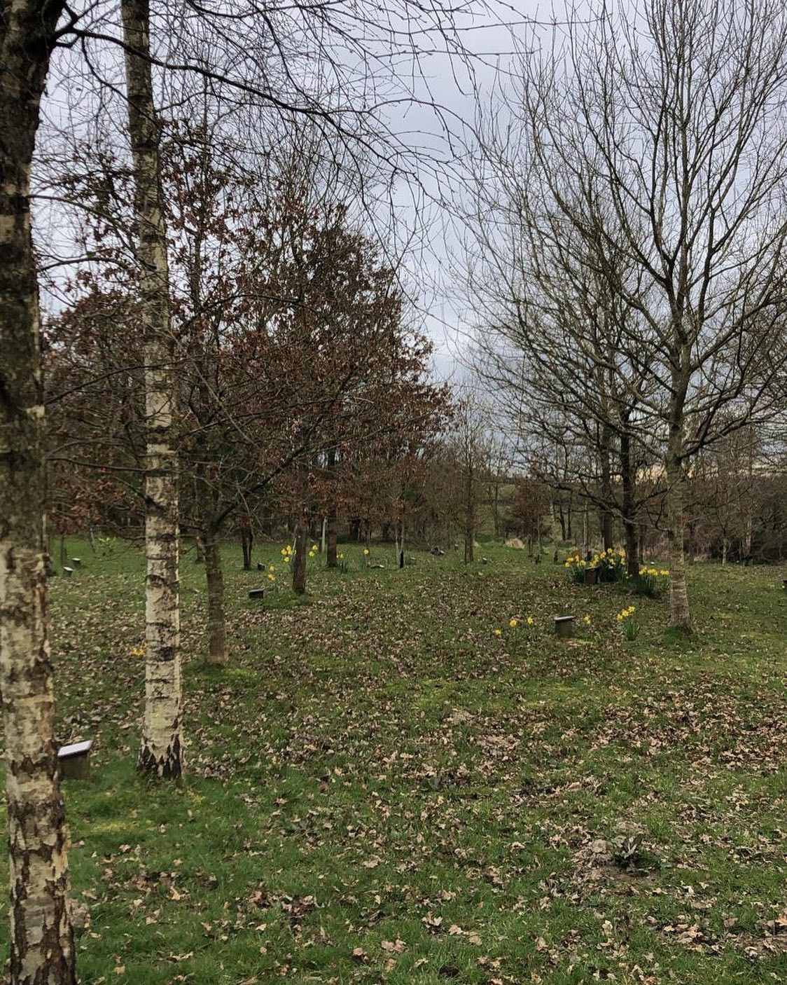 Life for a Life - Plant a memorial tree in a Life for a Life memorial ...