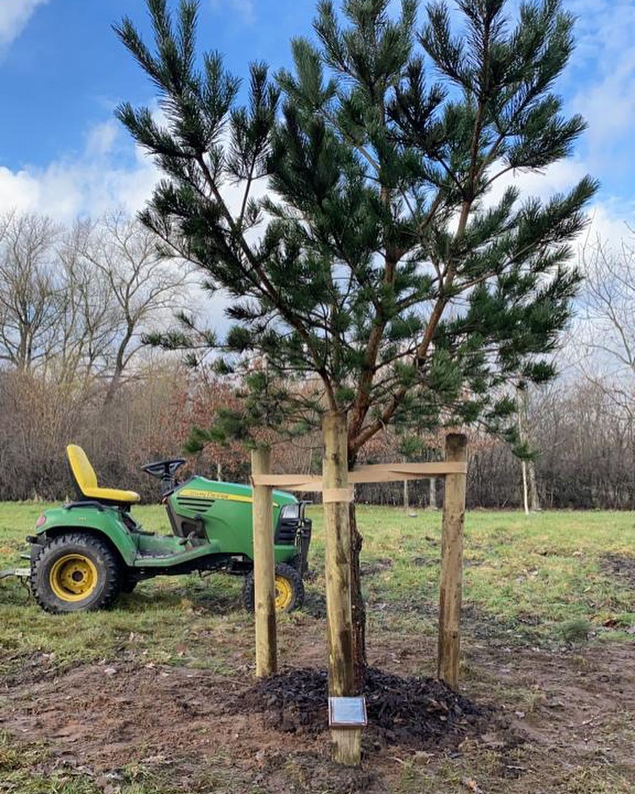Life for a Life - Plant a memorial tree in a Life for a Life memorial ...