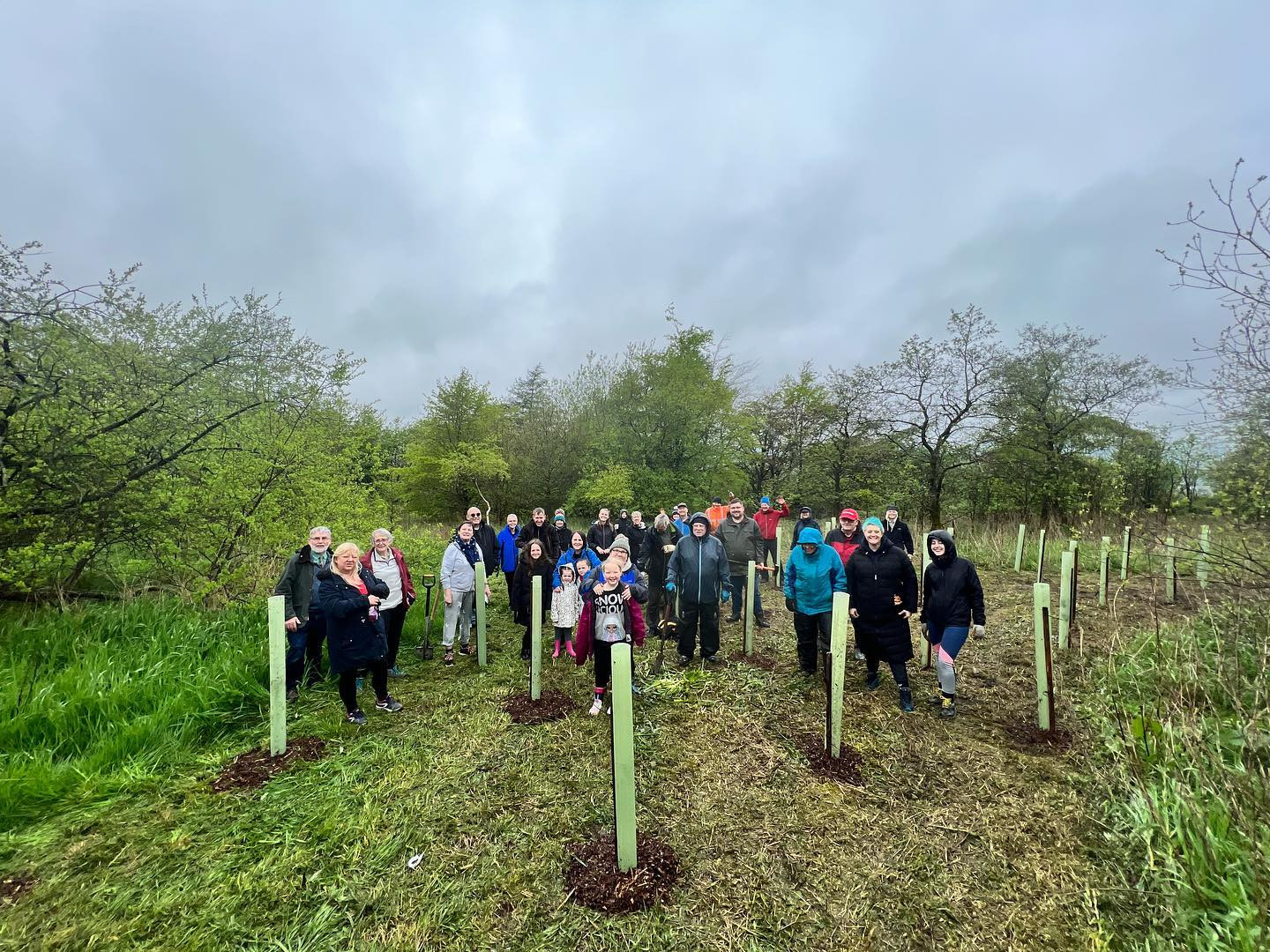 Life for a Life - Plant a memorial tree in a Life for a Life memorial ...