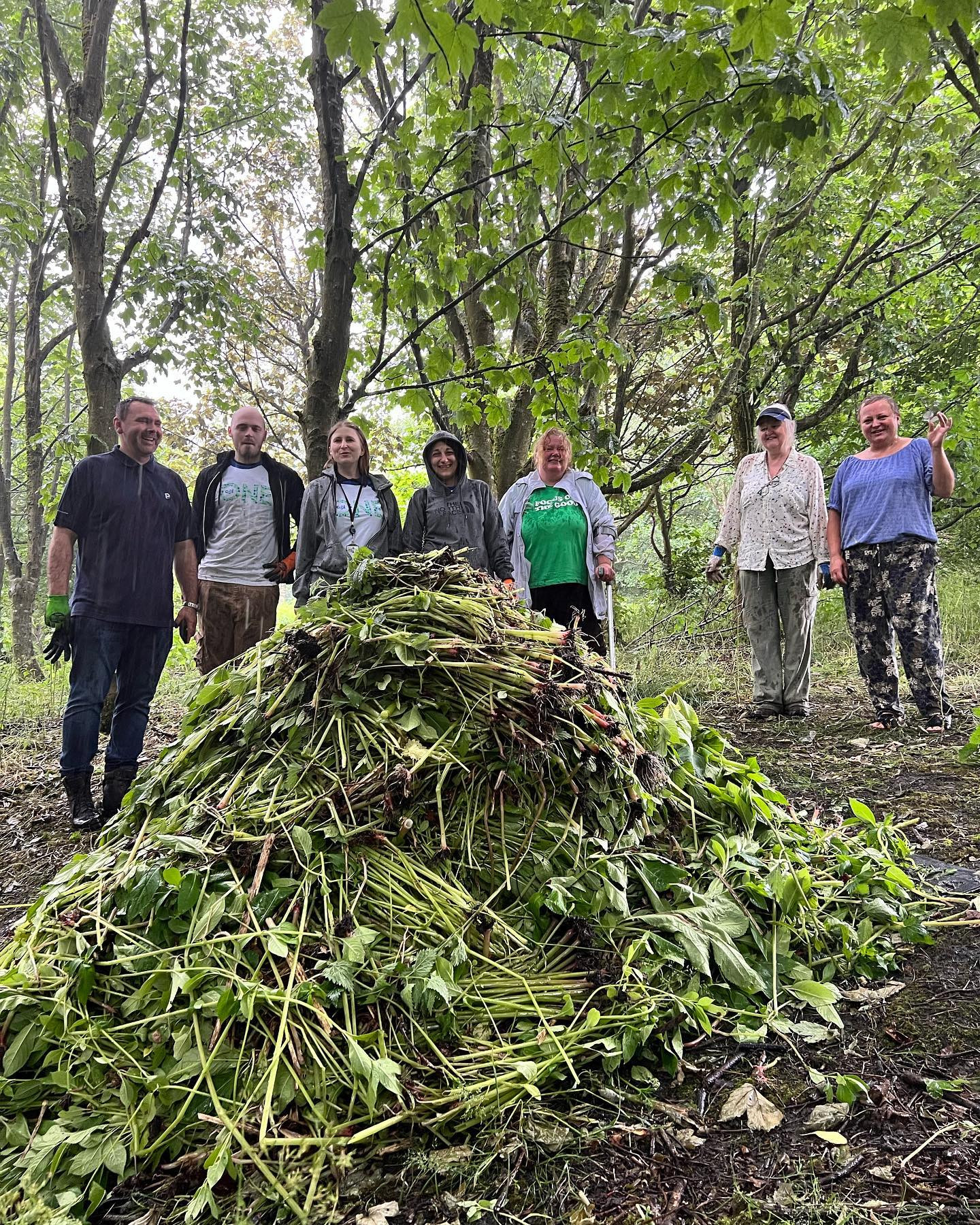 Life for a Life - Plant a memorial tree in a Life for a Life memorial ...