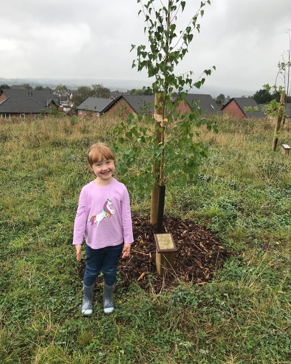 Life for a Life - Plant a memorial tree in a Life for a Life memorial ...