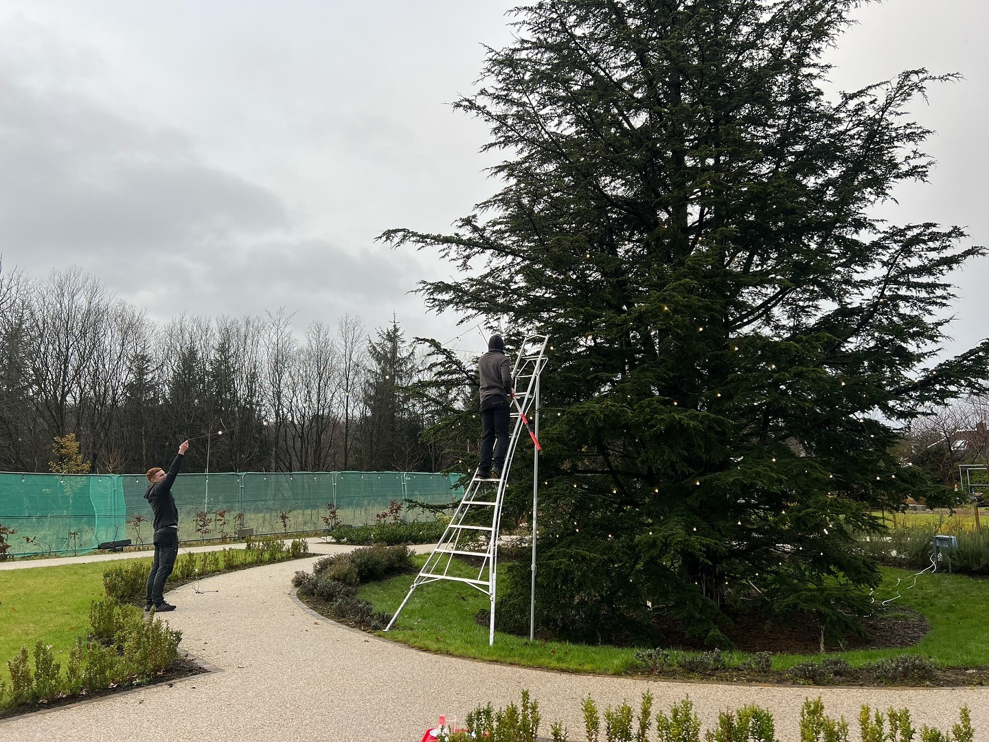 Life for a Life - Plant a memorial tree in a Life for a Life memorial ...