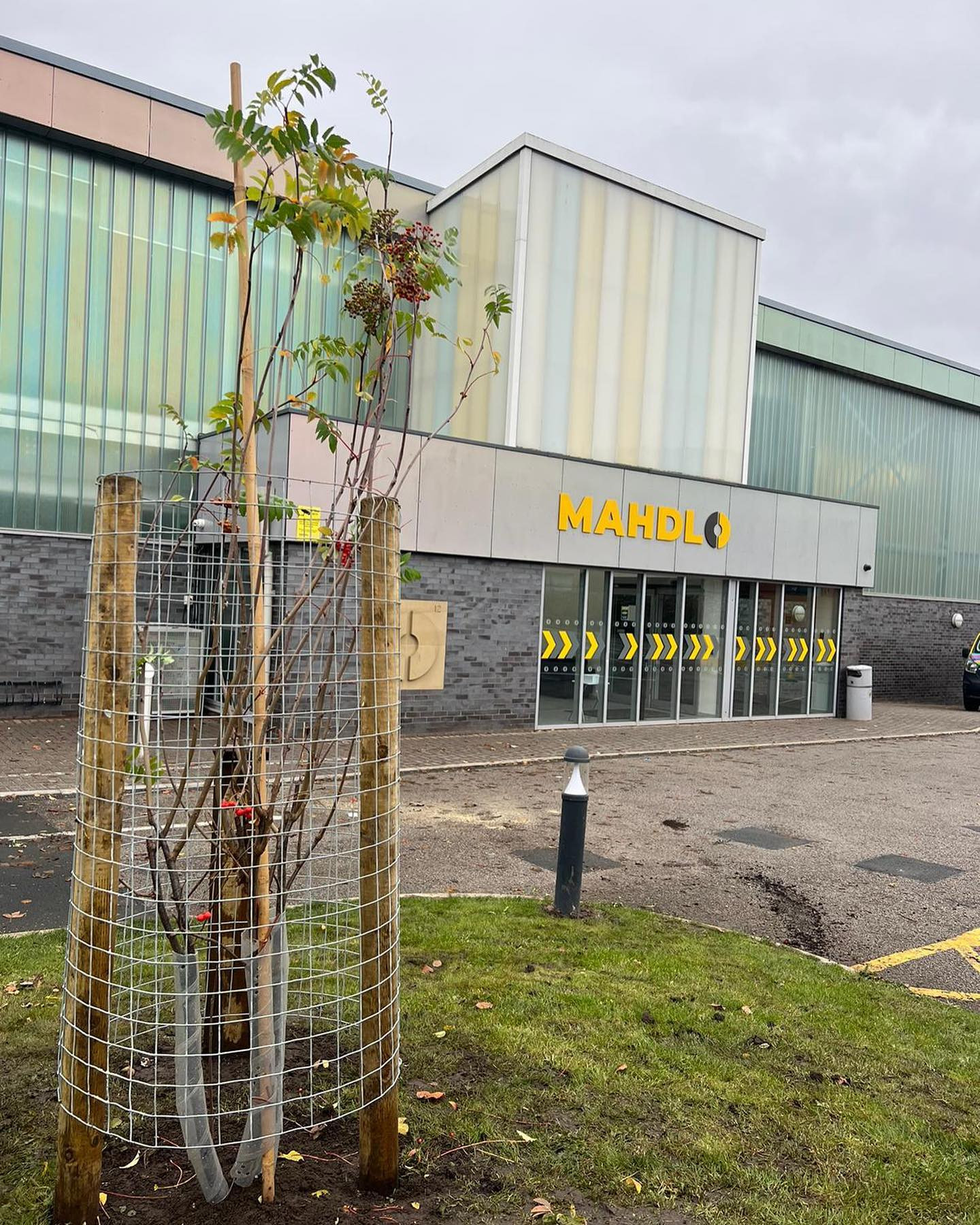 Life for a Life - Plant a memorial tree in a Life for a Life memorial ...
