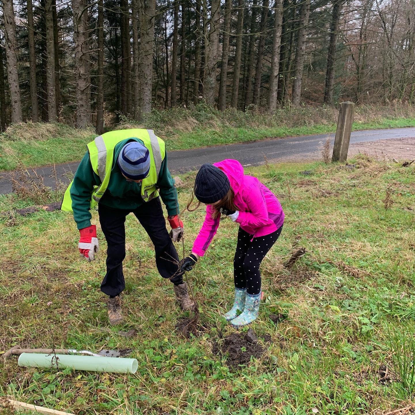 Life for a Life - Plant a memorial tree in a Life for a Life memorial ...