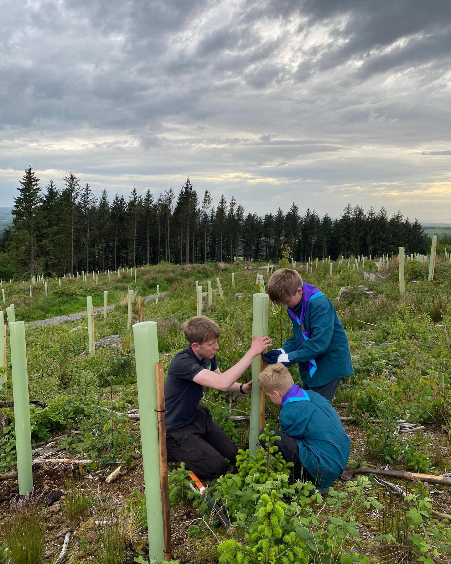 Life for a Life - Plant a memorial tree in a Life for a Life memorial ...