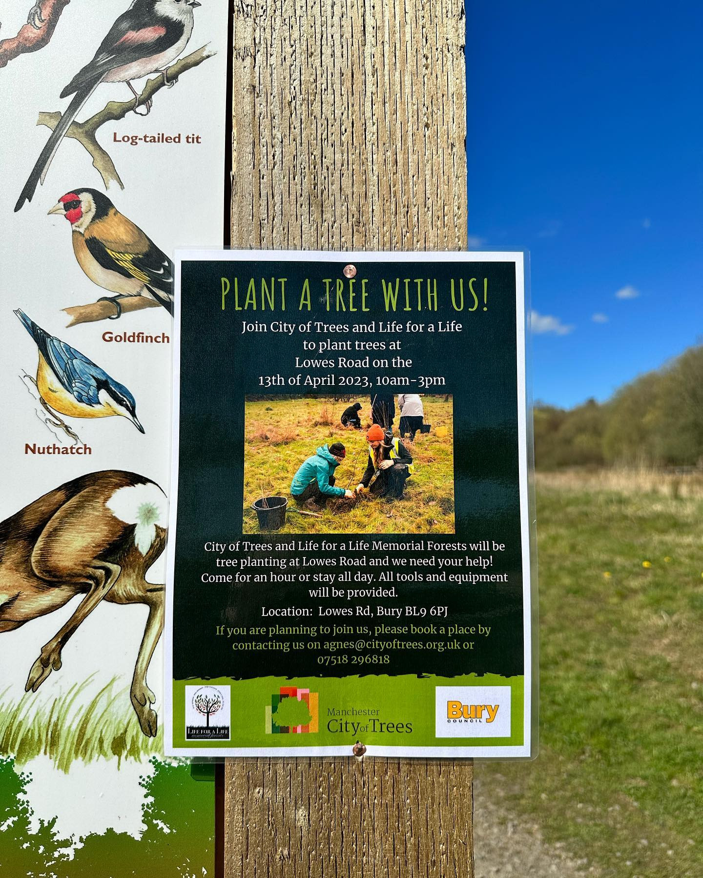 Life for a Life - Plant a memorial tree in a Life for a Life memorial ...