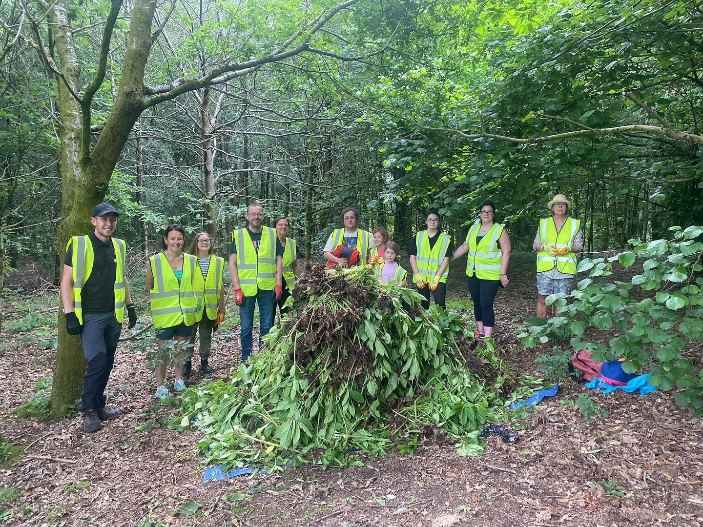 Life for a Life - Plant a memorial tree in a Life for a Life memorial ...