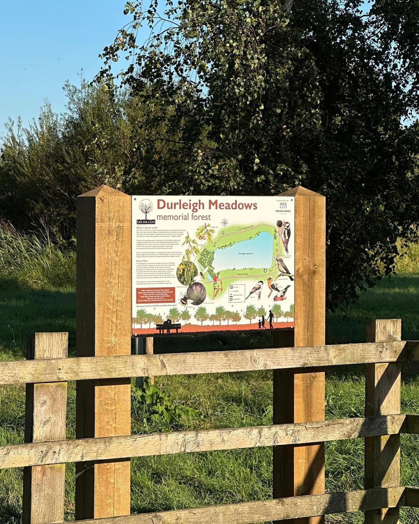 Life for a Life Memorial Forests Plant Memorial Trees in memory and ...