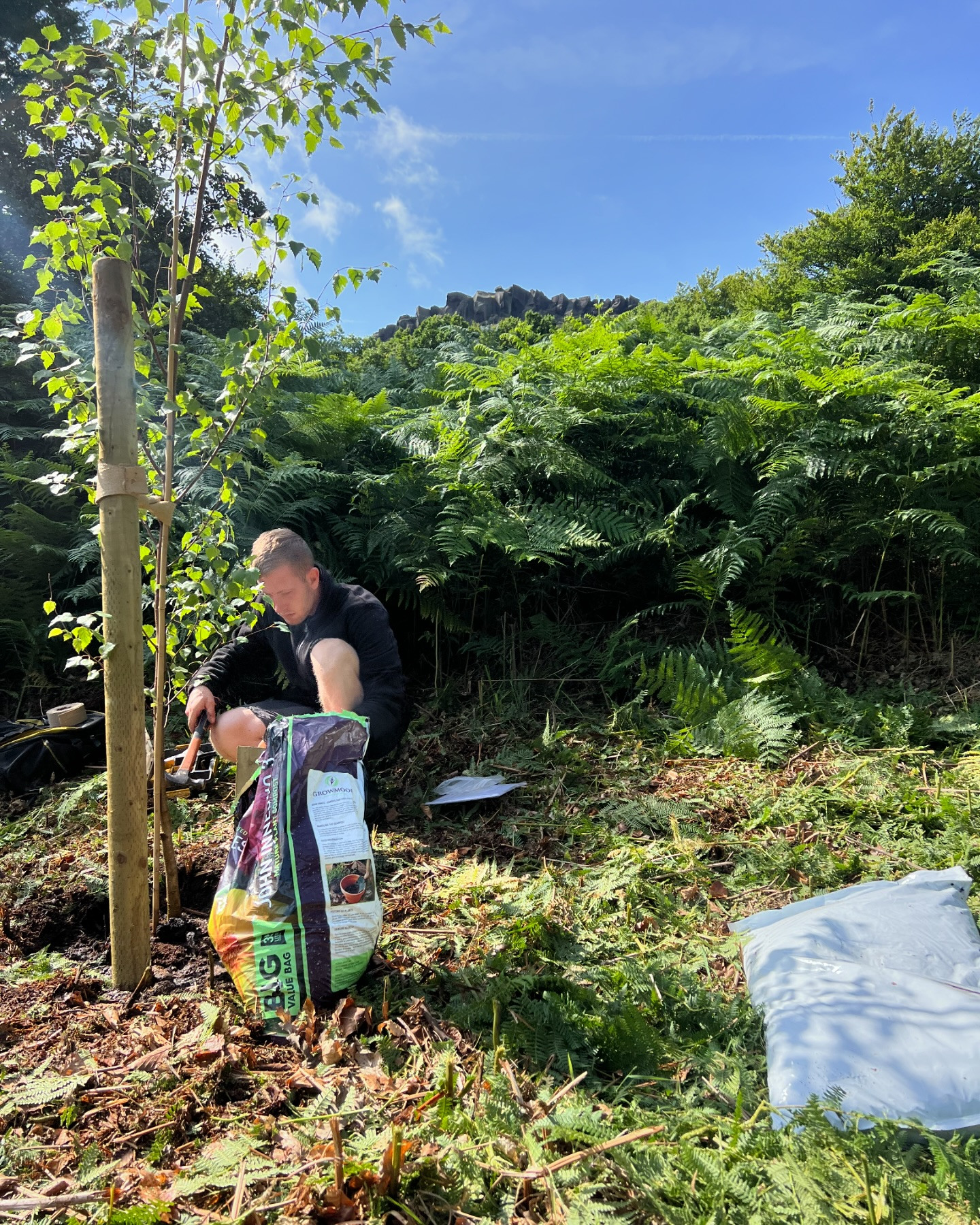 Life for a Life Memorial Forests Plant Memorial Trees in memory and ...