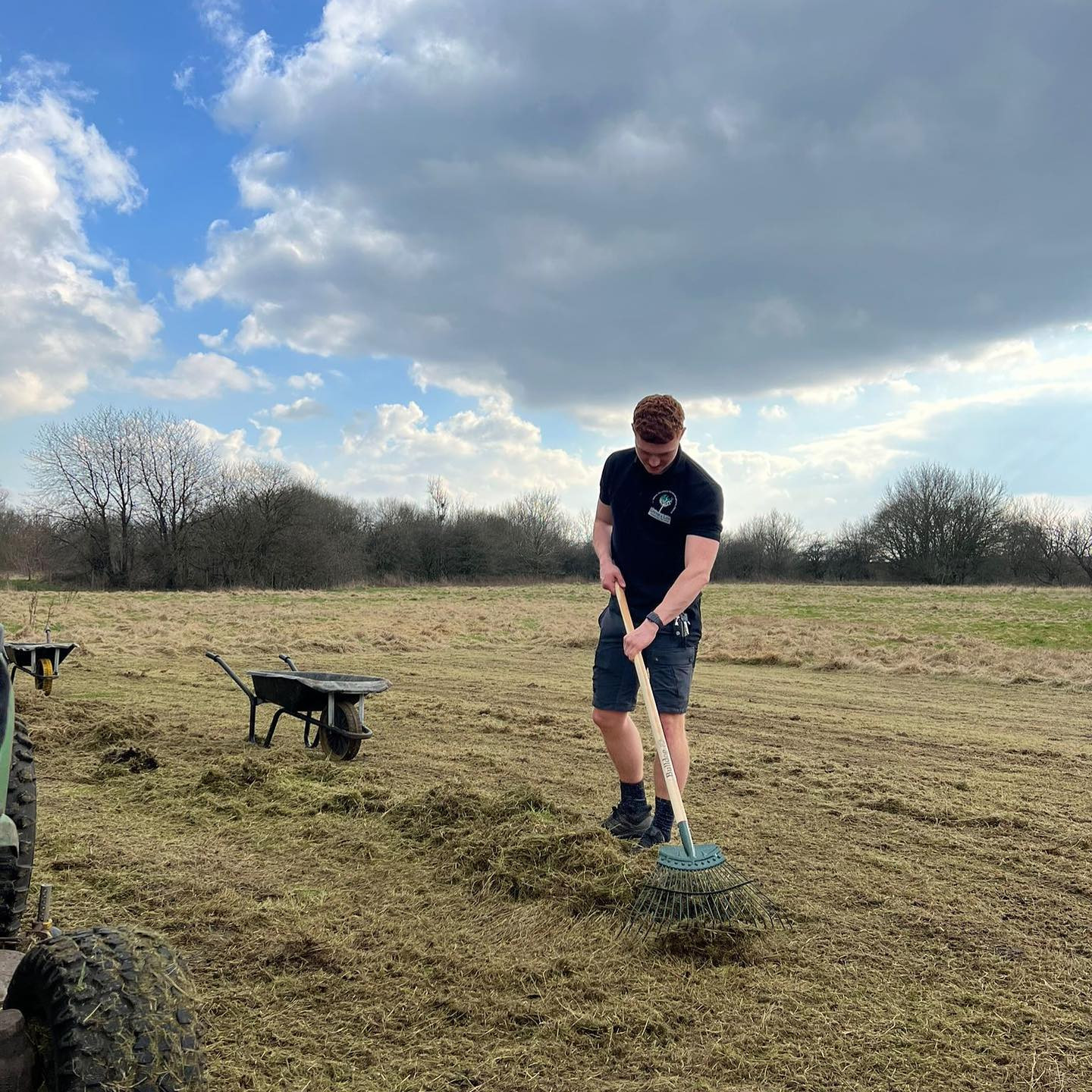 Life for a Life Memorial Forests Plant Memorial Trees in memory and ...