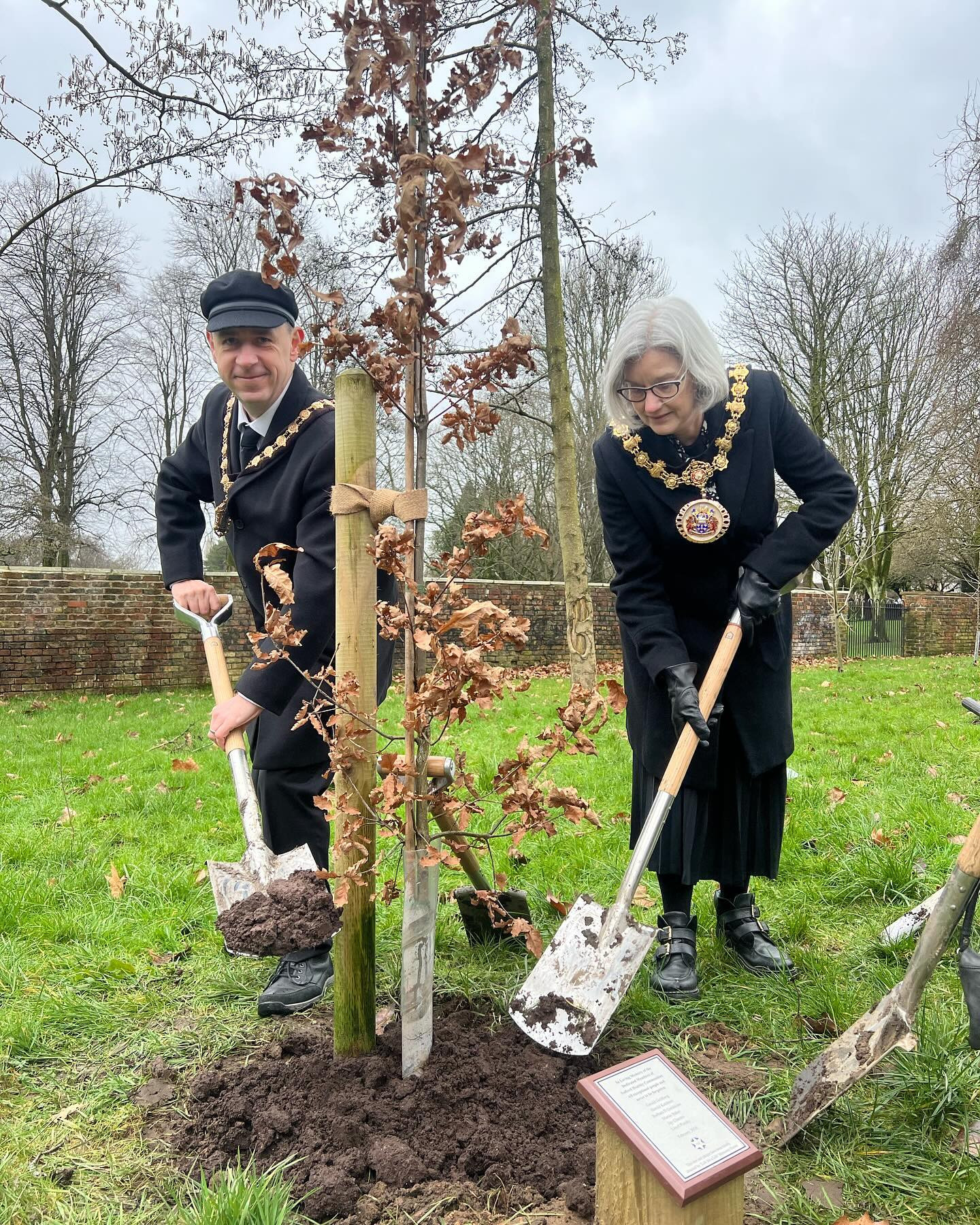 Life for a Life Memorial Forests Plant Memorial Trees in memory and ...