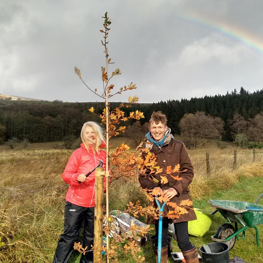 Life for a Life Memorial Forests Plant Memorial Trees in memory and ...