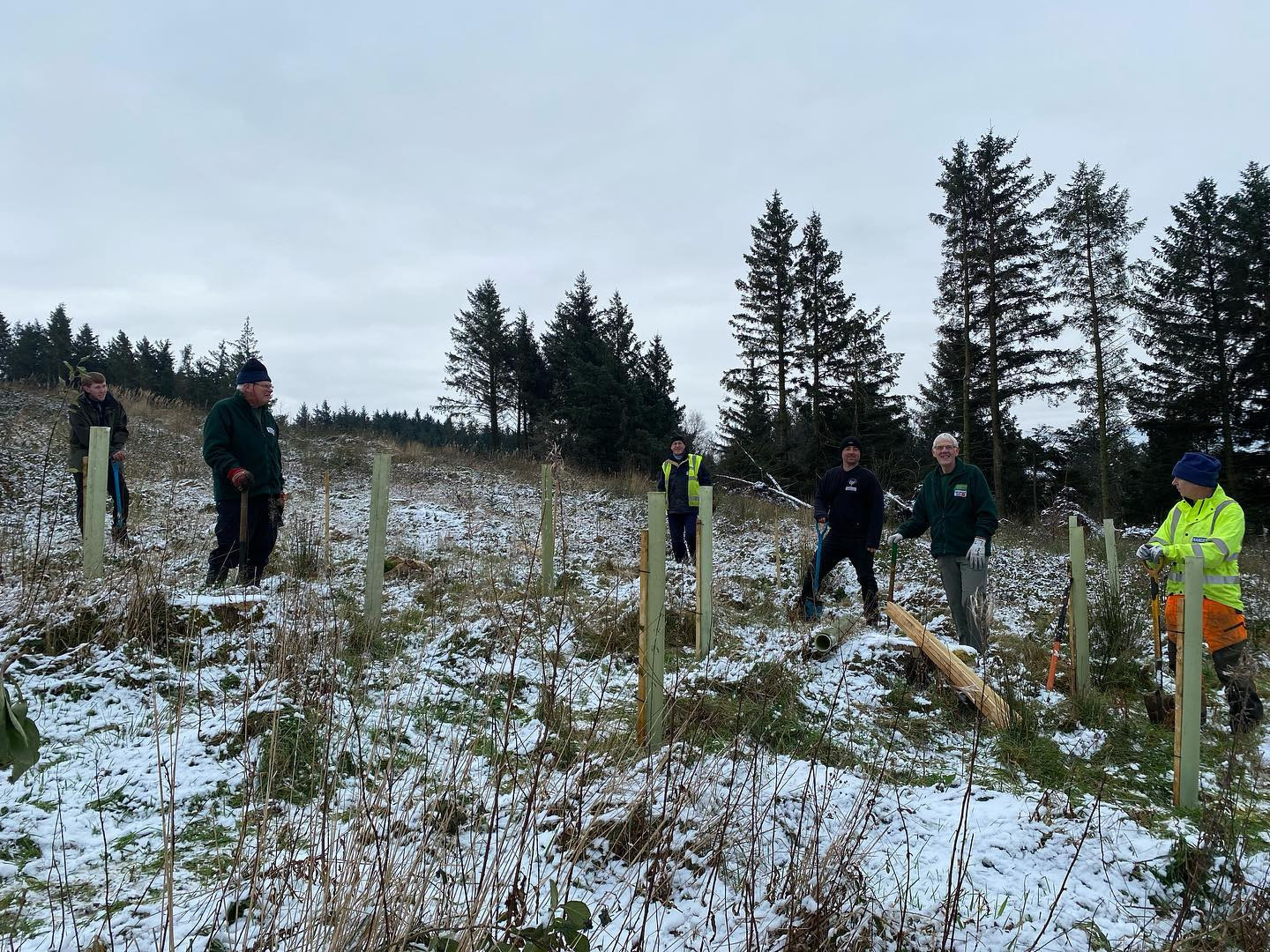 Life for a Life - Plant a memorial tree in a Life for a Life memorial ...