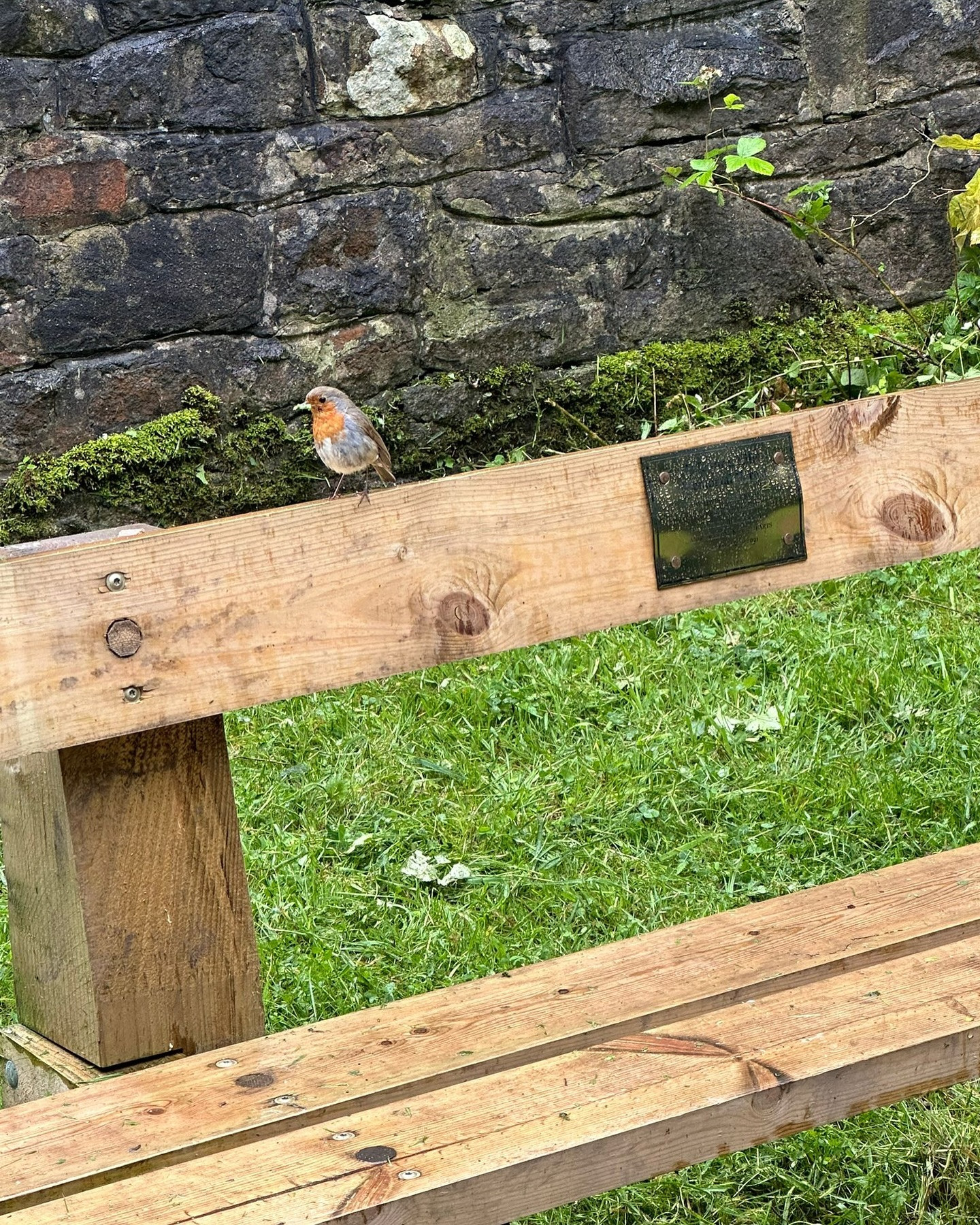 Life for a Life Memorial Forests Plant Memorial Trees in memory and ...